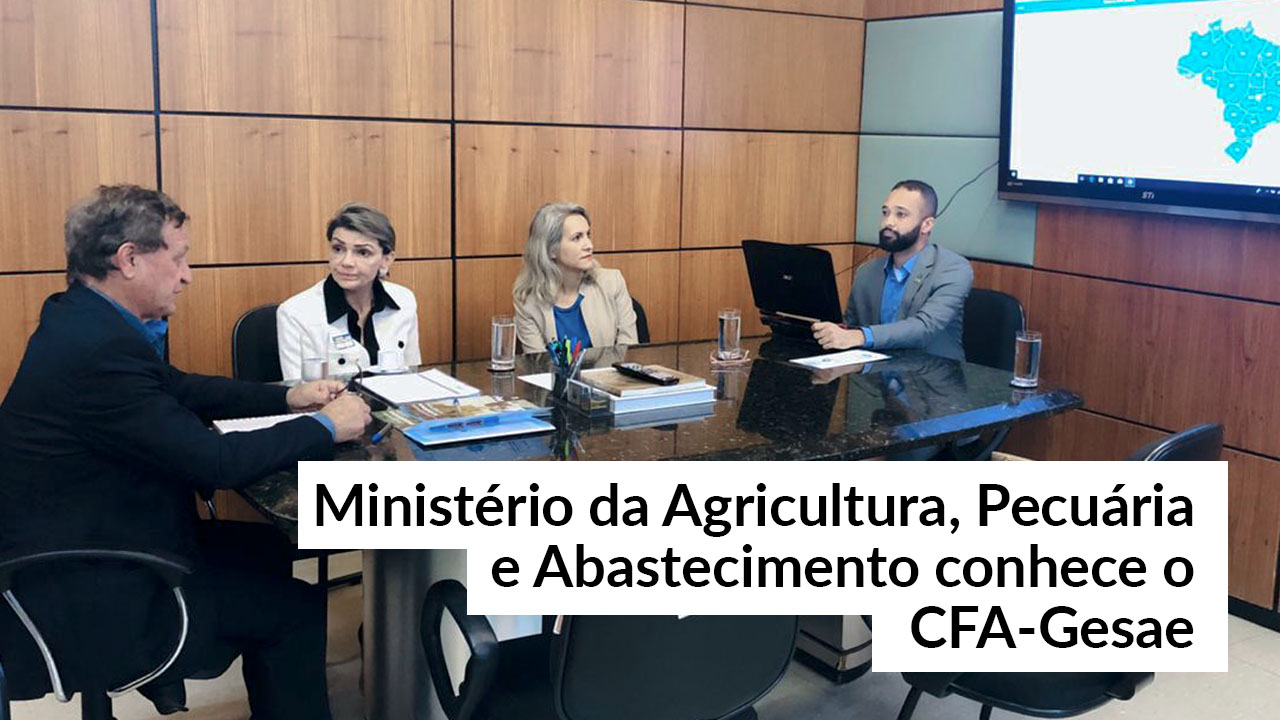Sistema de Governança do CFA é apresentado no Mapa – CFA